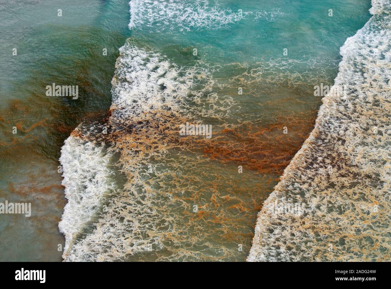 Algal bloom, aerial photograph. The red colour of the water is caused ...