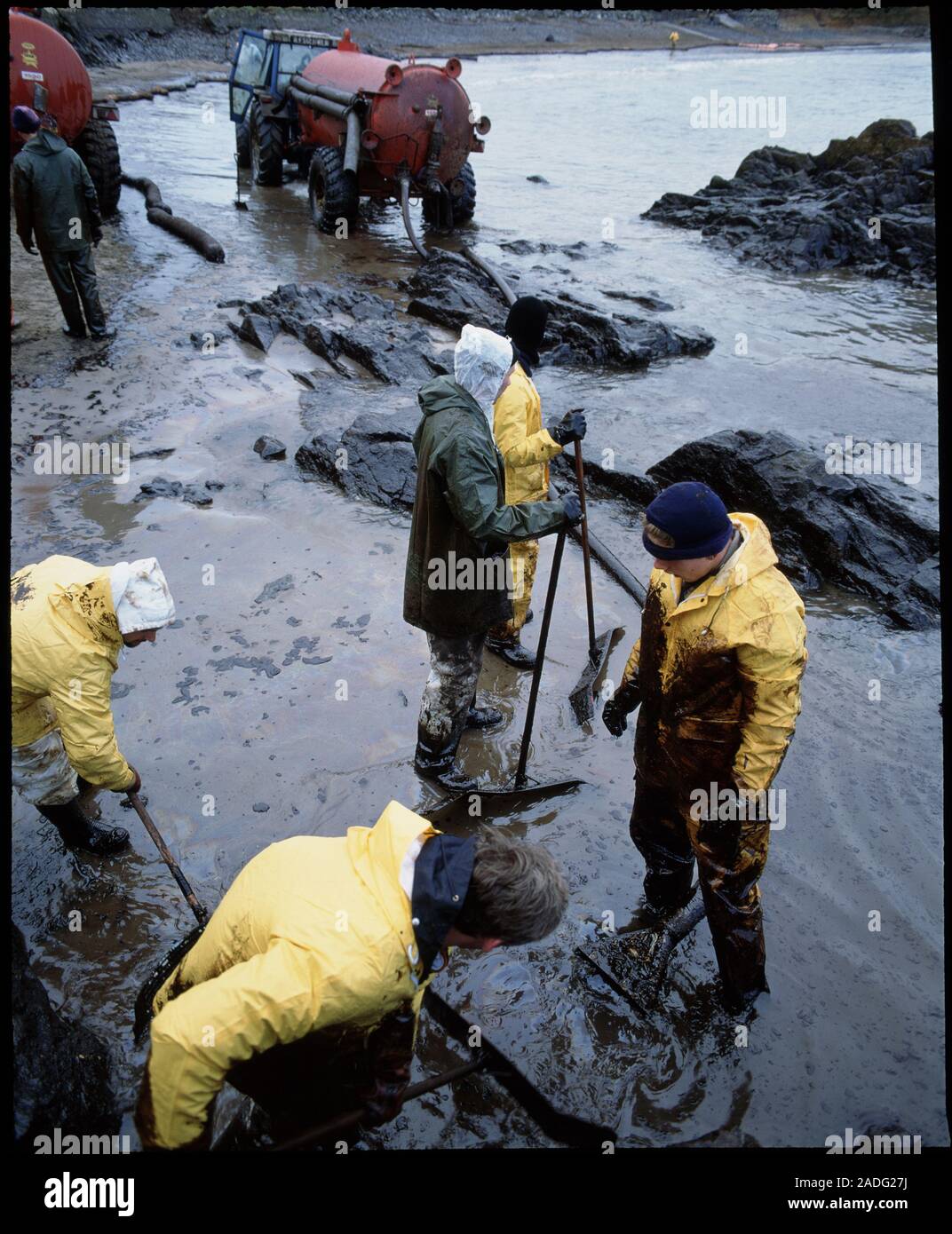 Oil pollution clean-up. Team of workers cleaning up a beach polluted by ...
