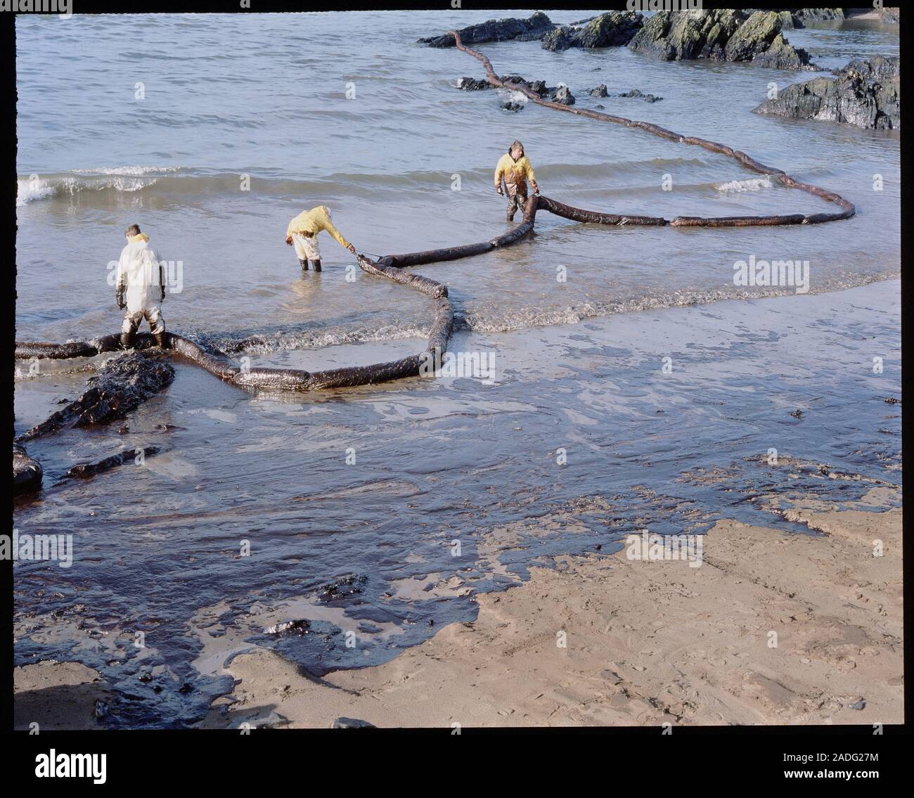 Oil pollution clean-up. Team of workers deploying a floating boom to ...