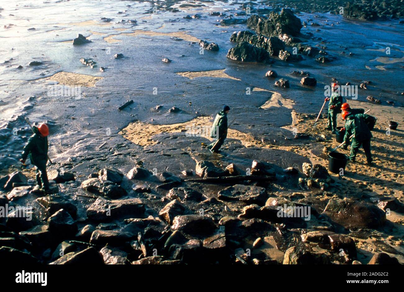 Erika oil spill. Soldiers cleaning a beach of oil spilled following the ...