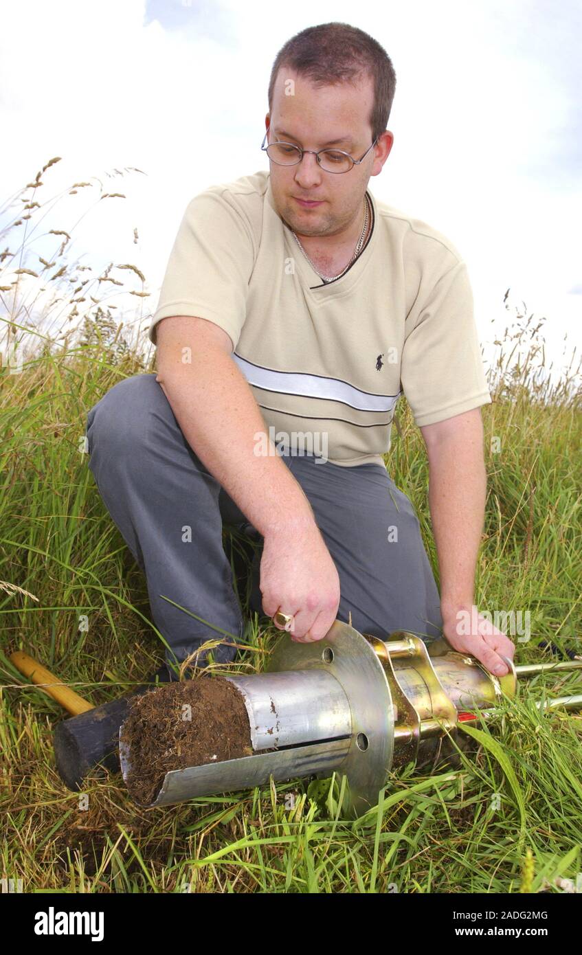 MODEL RELEASED. Soil sampling. Researcher collecting a core of soil ...