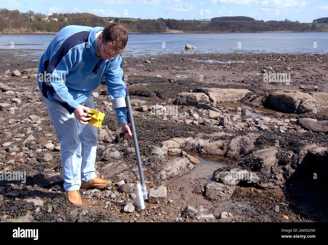 Coastal radiation monitoring. Researcher using a radiation detector on ...