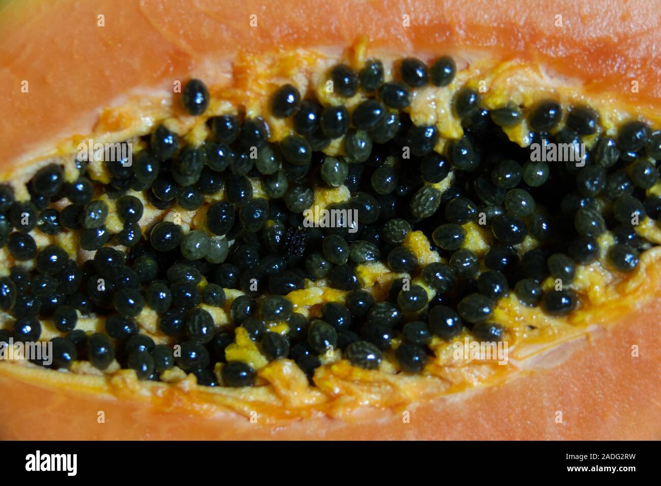 Inside papaya fruit hi-res stock photography and images - Alamy