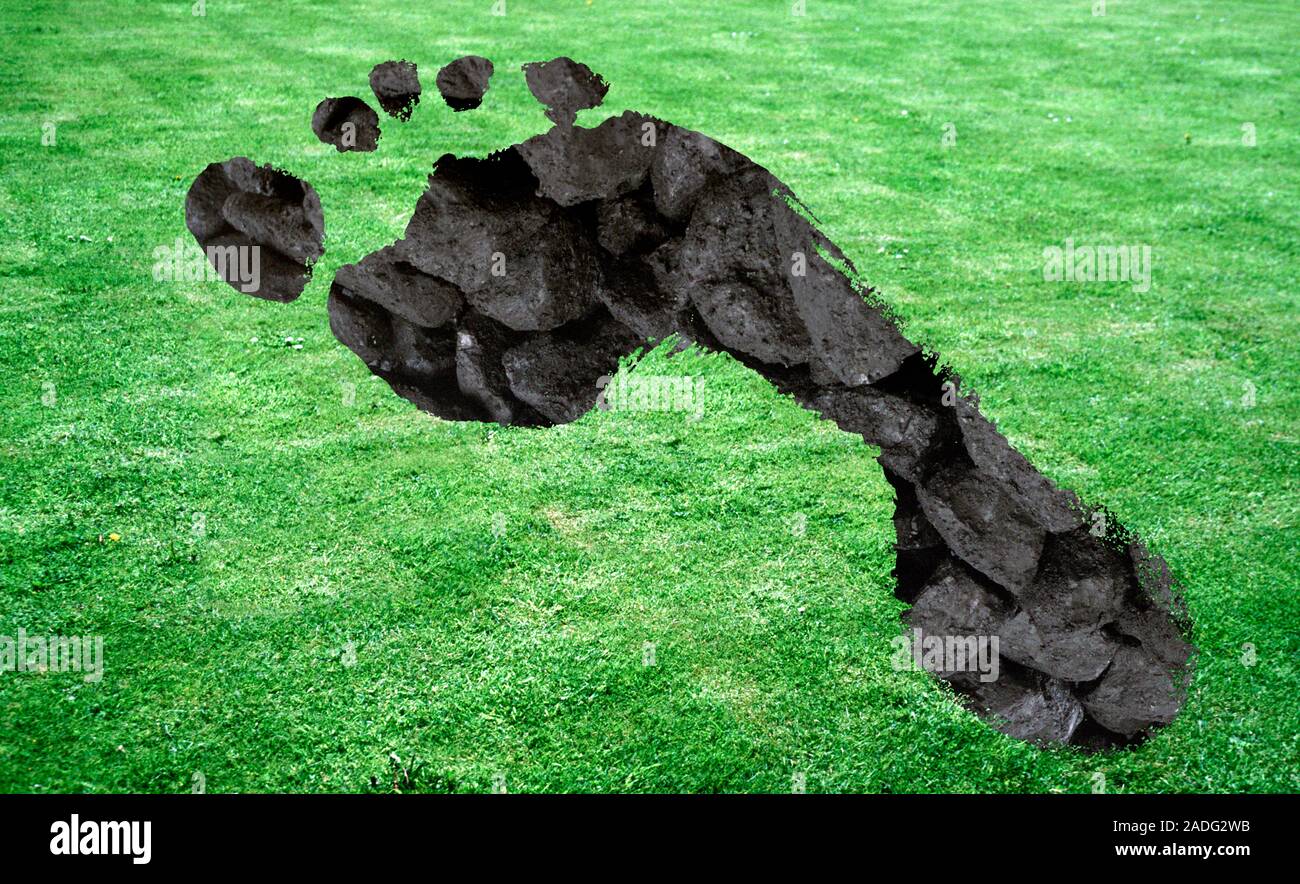 Carbon footprint, conceptual image. Coal footprint on grass ...