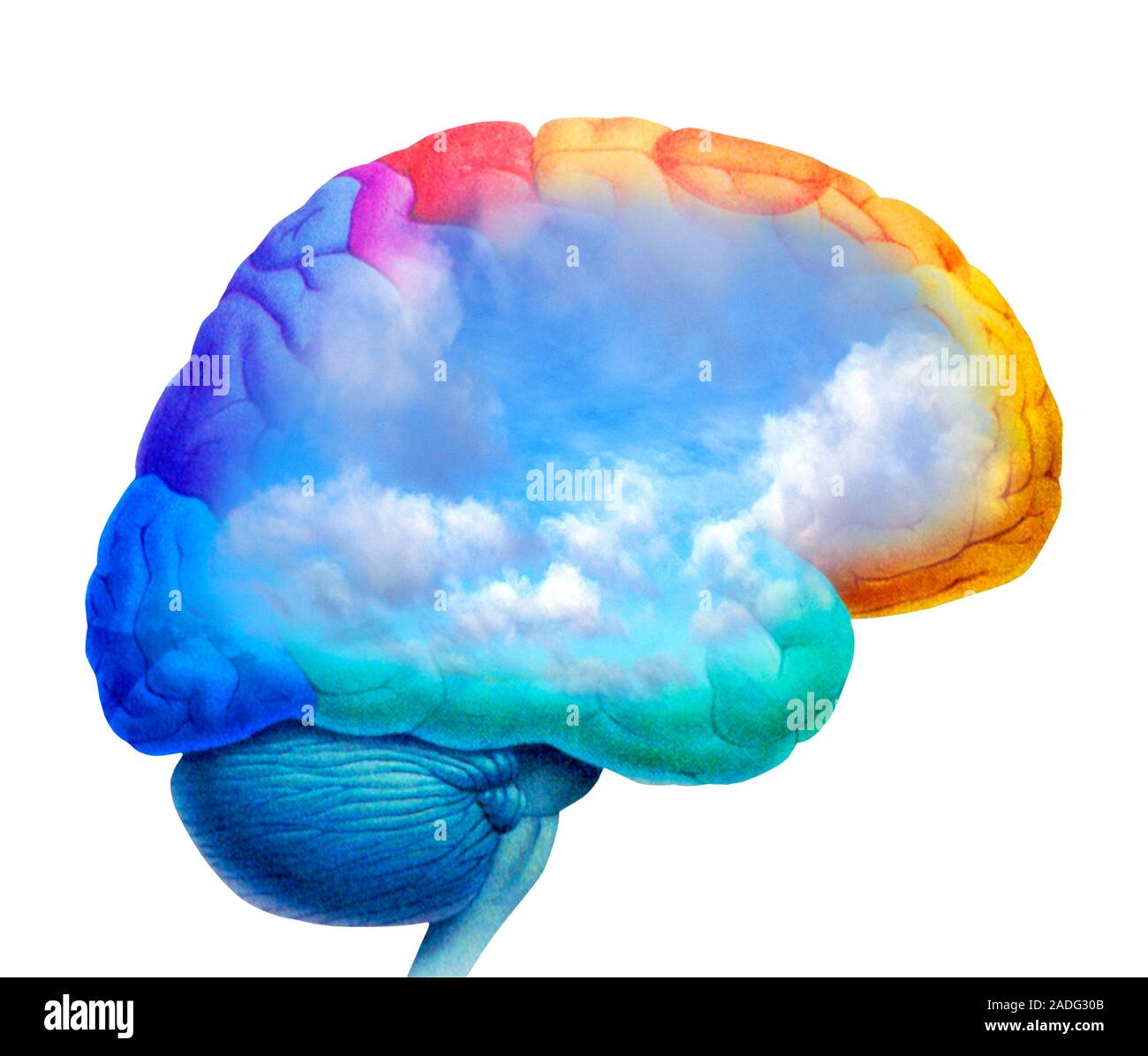 Environmental consciousness. Artwork of rainclouds inside the human ...