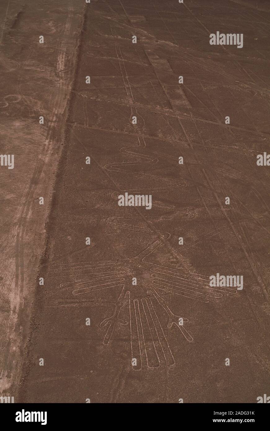 Nazca lines. Aerial photograph of a geoglyph, or landscape drawing, in ...