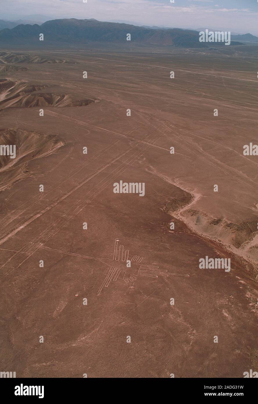 Nazca lines. Aerial photograph of a geoglyph, or landscape drawing, in ...