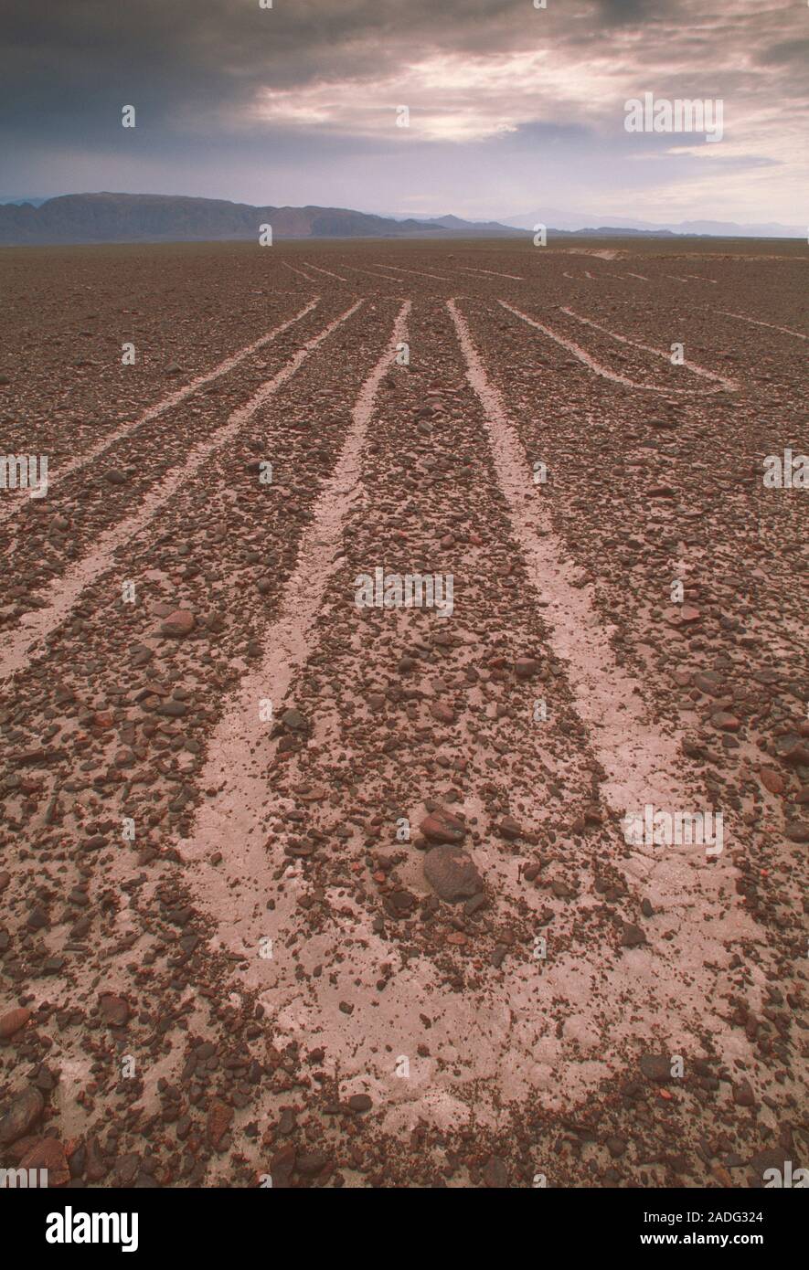 Nazca lines representing part of the wing of a hummingbird, seen from ...