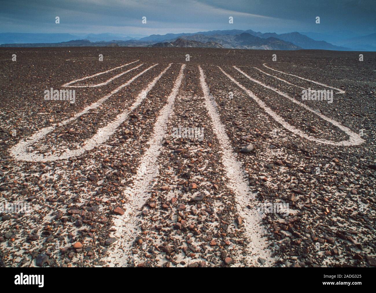 Nazca lines representing part of the tail of a hummingbird, seen from ...