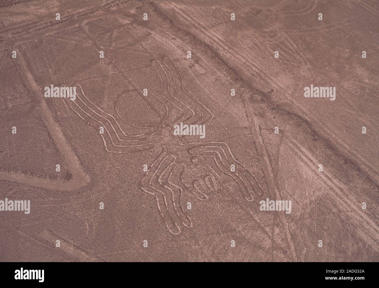 Nazca lines. Aerial photograph of a geoglyph, or landscape drawing, in ...