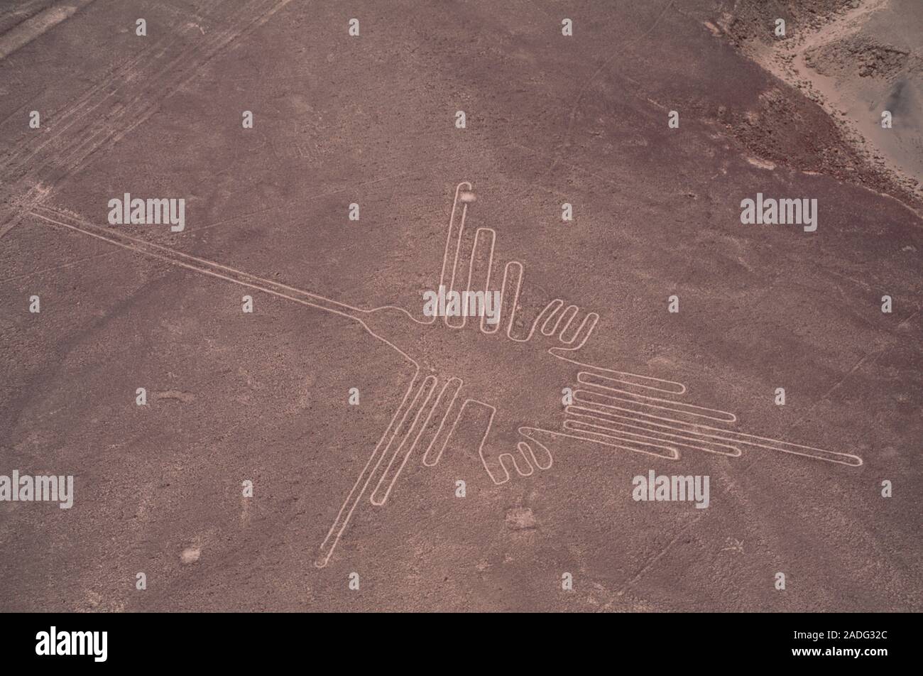 Nazca lines. Aerial photograph of a geoglyph, or landscape drawing, in ...