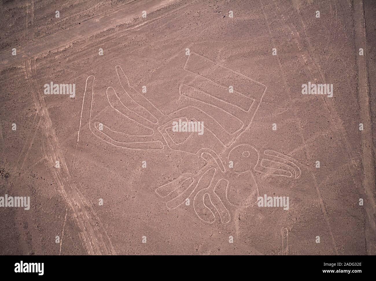 Nazca lines. Aerial photograph of the white lines of a geoglyph, or ...