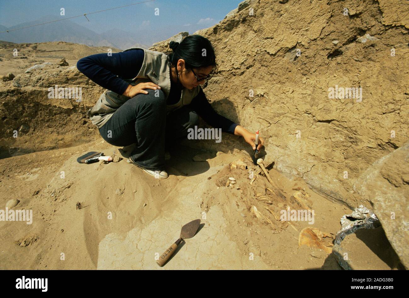 Human skeleton at Caral. Archaeologist uncovering a human skeleton ...