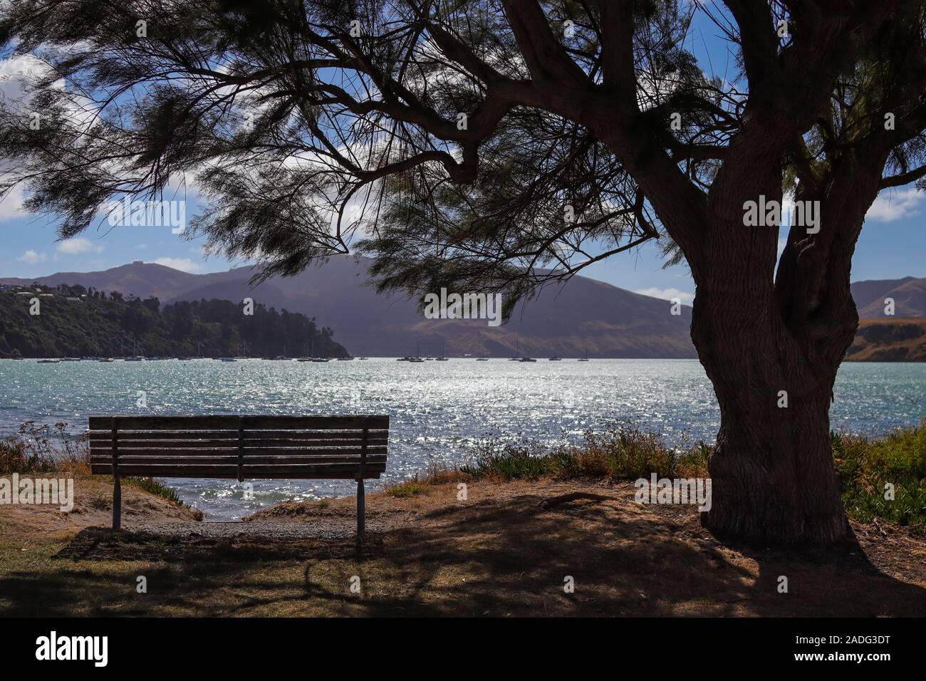 Park bench from behind hi-res stock photography and images - Alamy