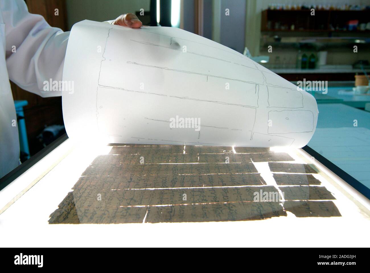 Egyptian papyrus conservation. Copy being made of a papyrus scroll at ...