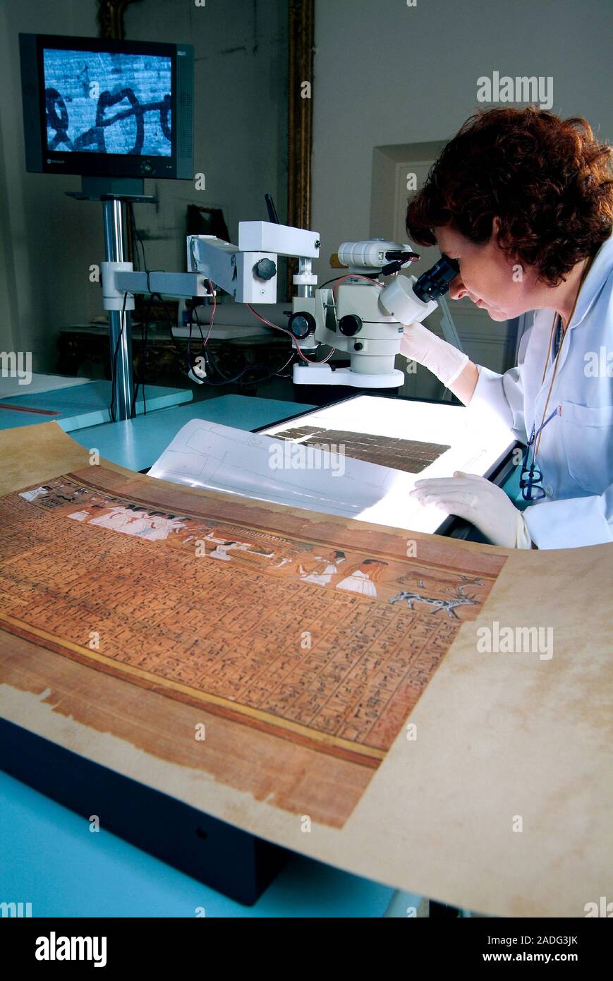 Egyptian papyrus conservation. Italian papyrologist Anna di Natale ...