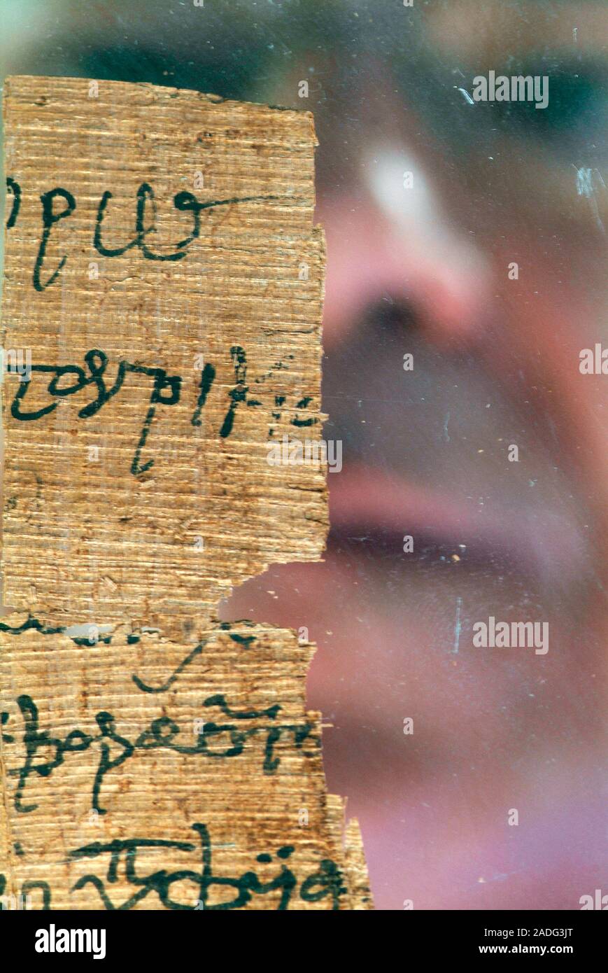 Egyptian papyrus conservation. Vacuum-packed papyrus scroll being ...