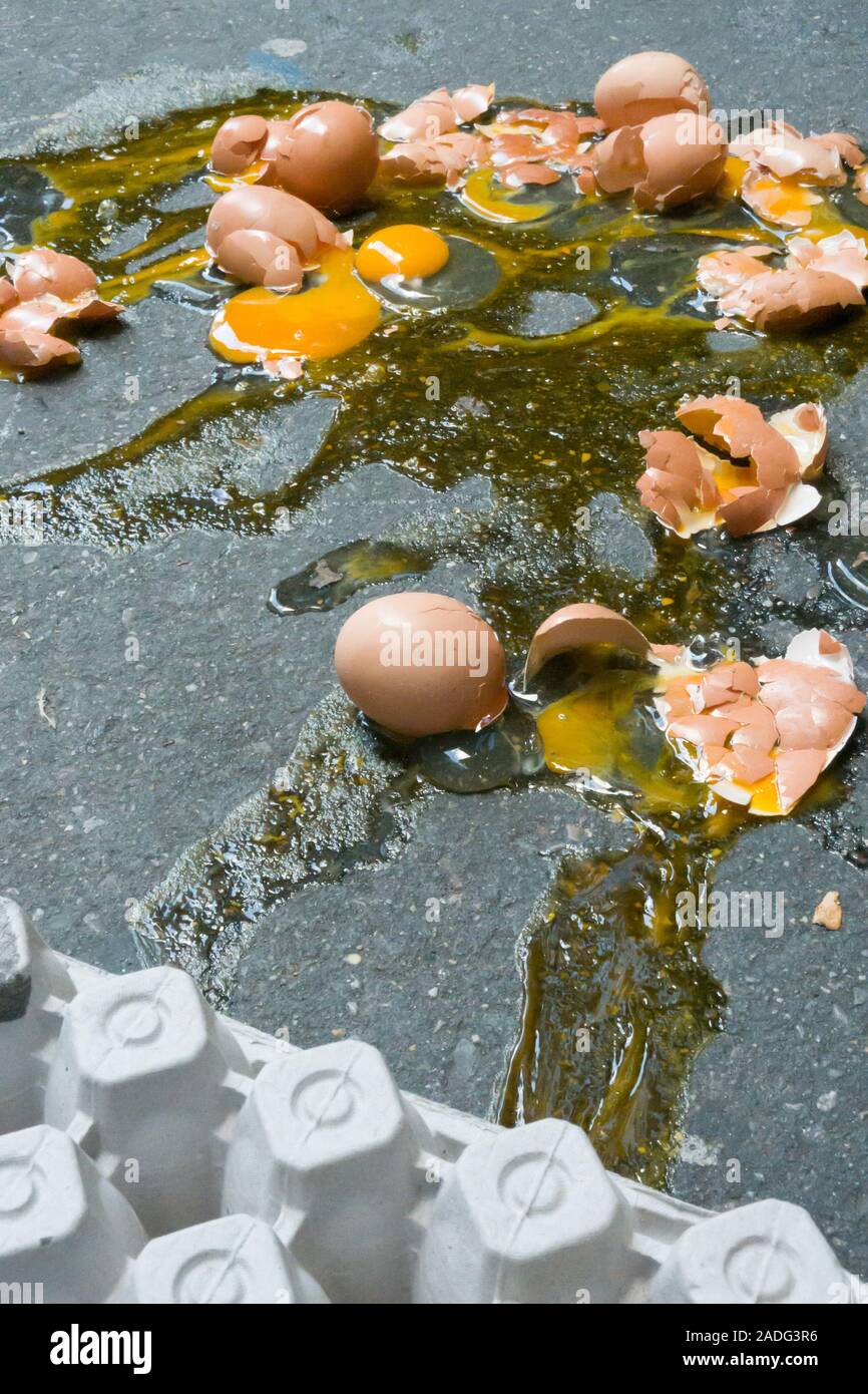 Raw broken eggshells yolk hi-res stock photography and images - Alamy