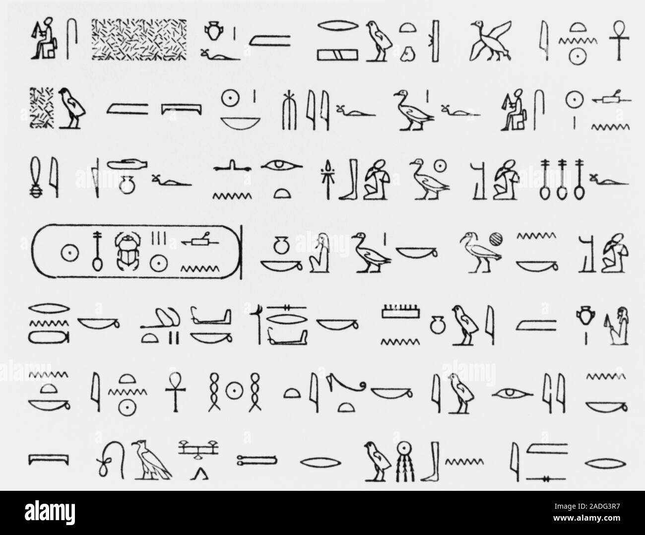 Hieroglyphic writing. Example of hieroglyphic writing from ancient ...