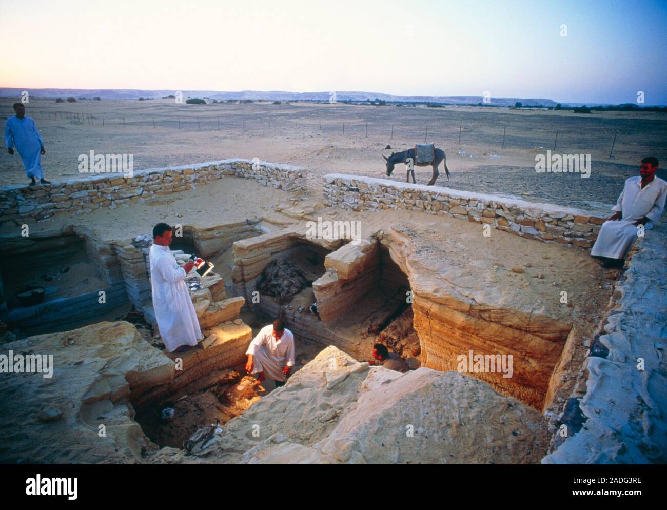 Egyptian burial chamber. Workmen excavating a multi-chambered Egyptian ...