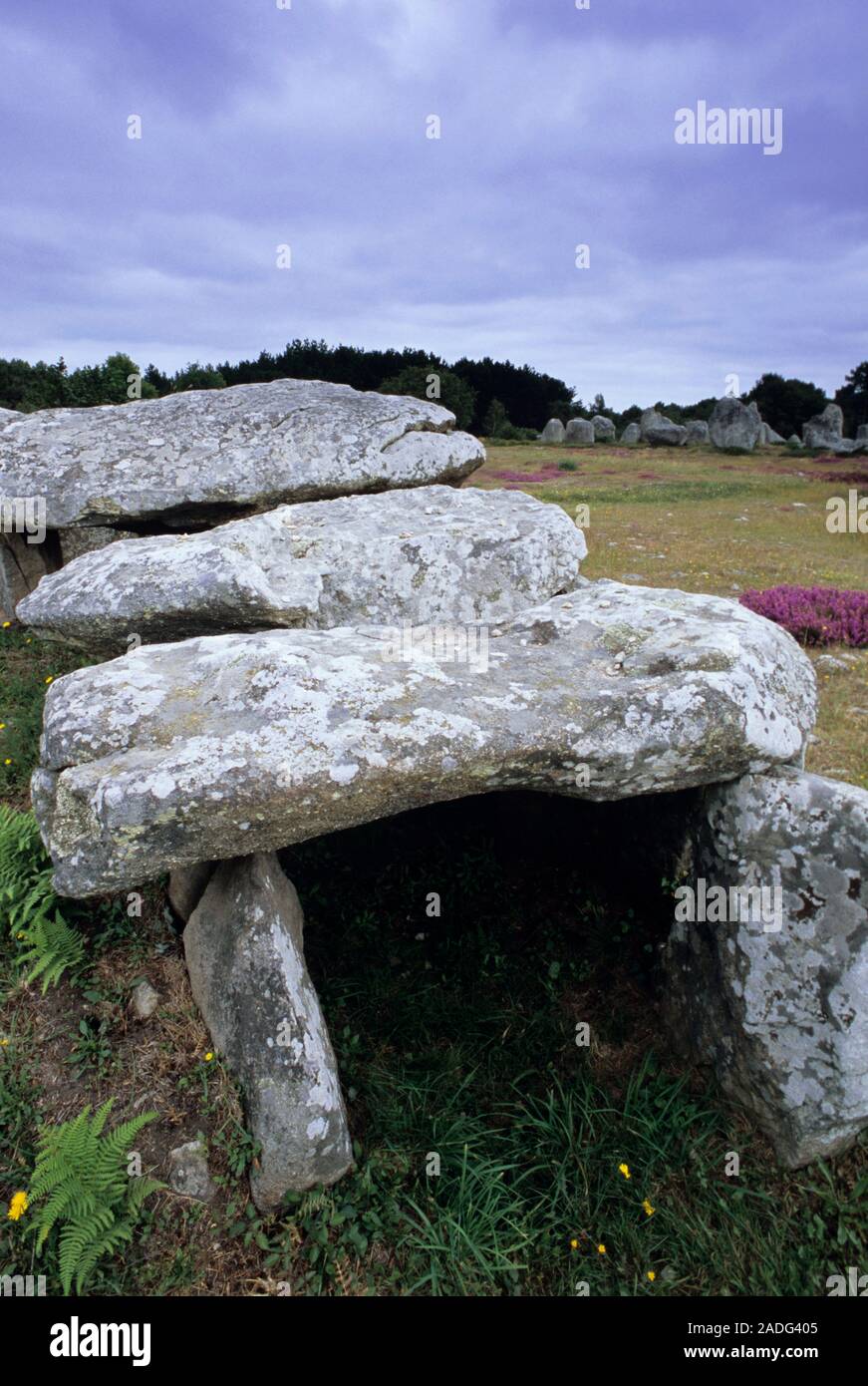 Portal tomb, also known as a Dolmen, in Carnac, France Stock Photo - Alamy