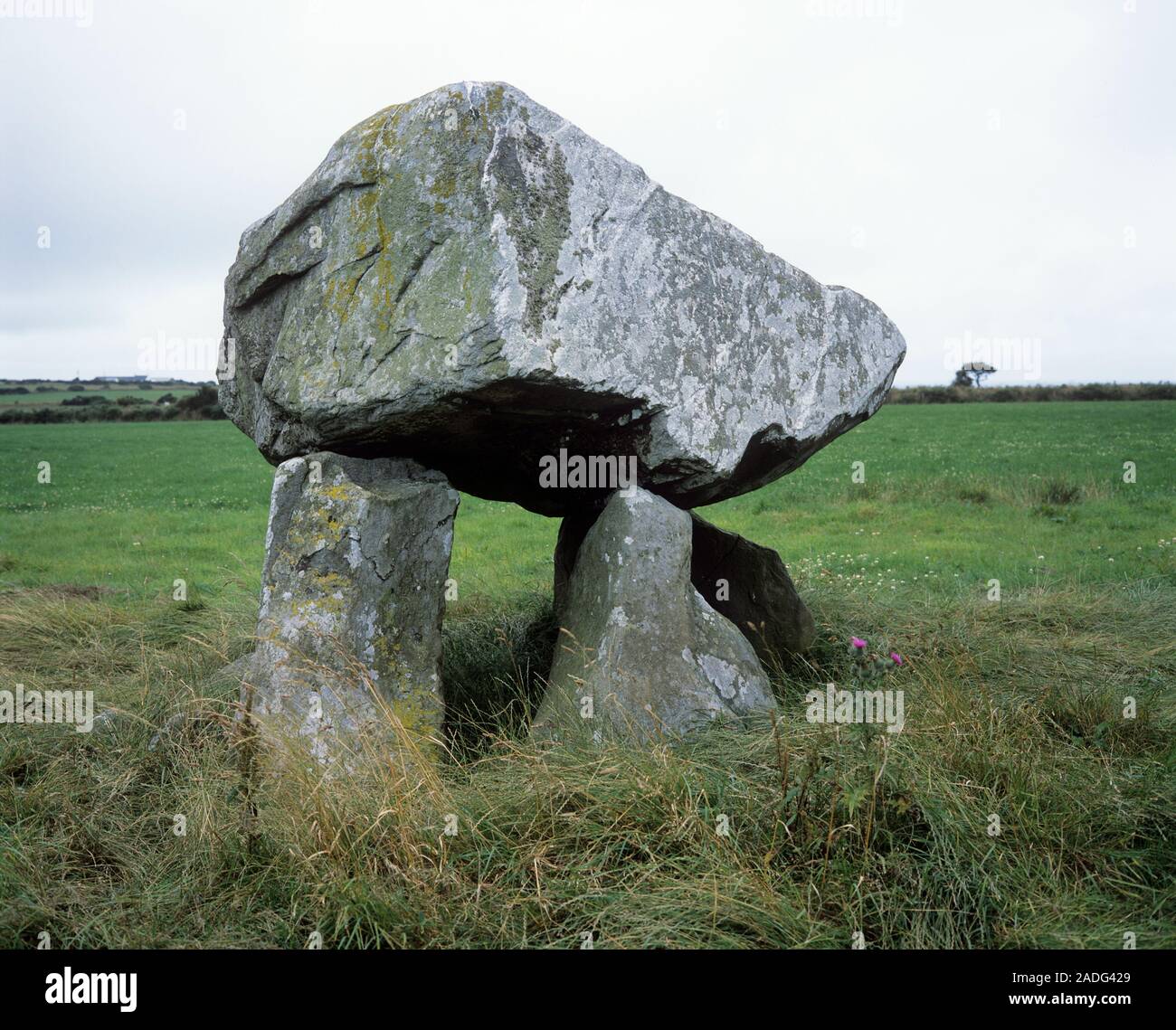 Llech Y Tripedd standing stones. This is the remains of a chambered ...