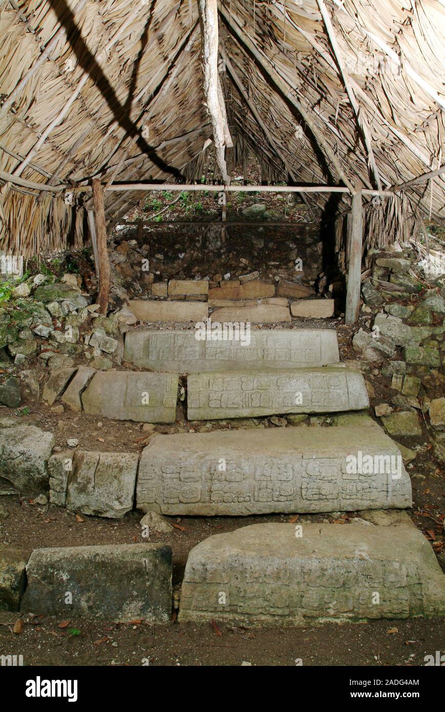 Mayan ruin. Staircase with glyphs carved into it. These stairs are part ...
