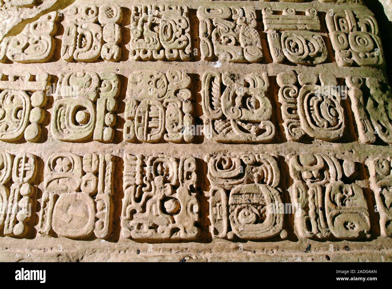 Mayan stone carving. Close-up of glyphs on a stele (carved standing ...