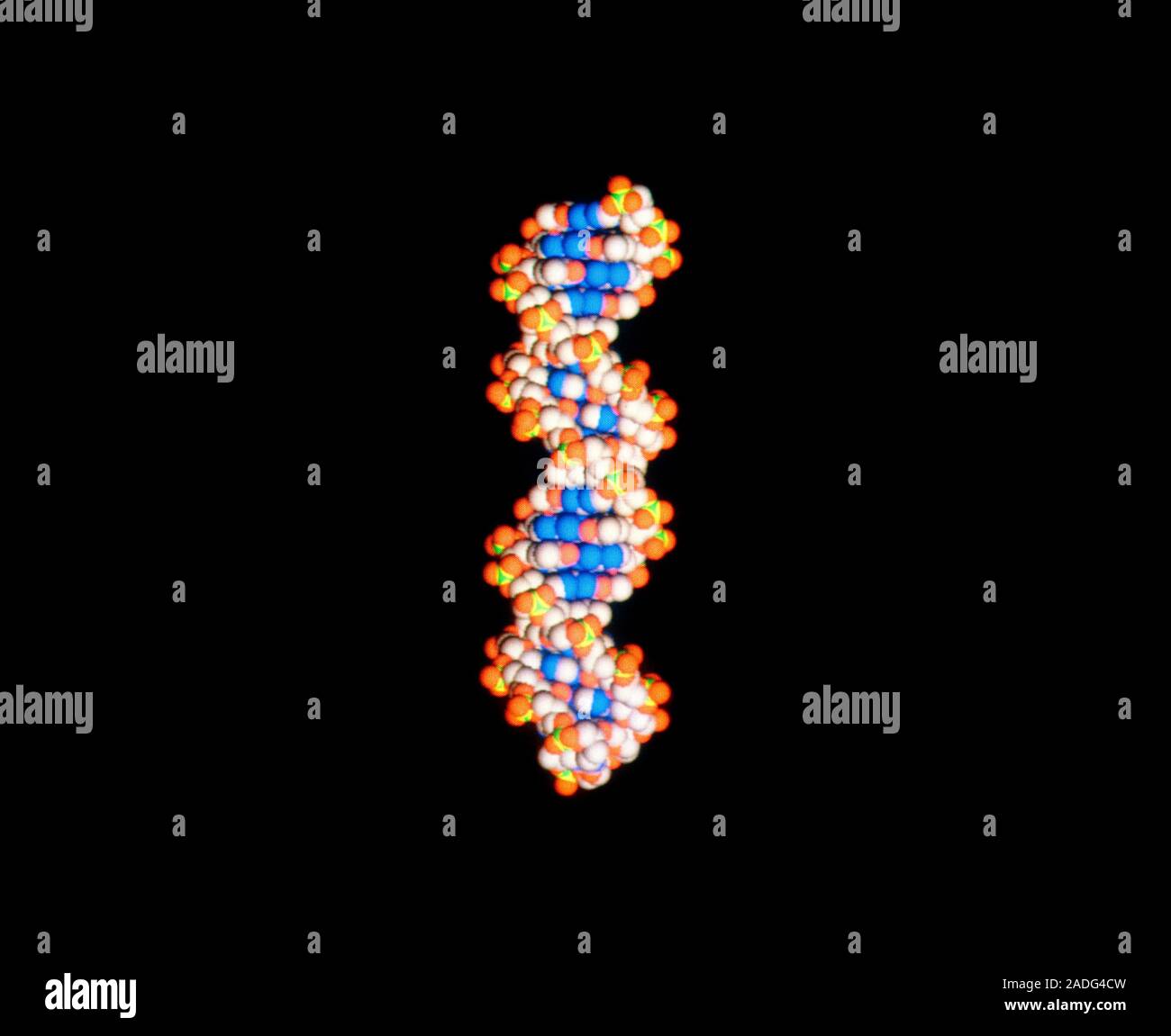 Molecular computer graphics representation of the DNA (deoxyribonucleic ... Molecular computer graphics representation of the DNA (deoxyribonucleic ...