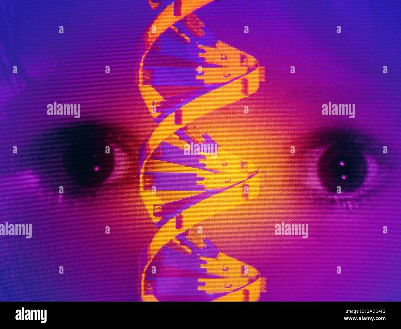 Genetic coding by DNA. Computer graphic representation of part of a ...