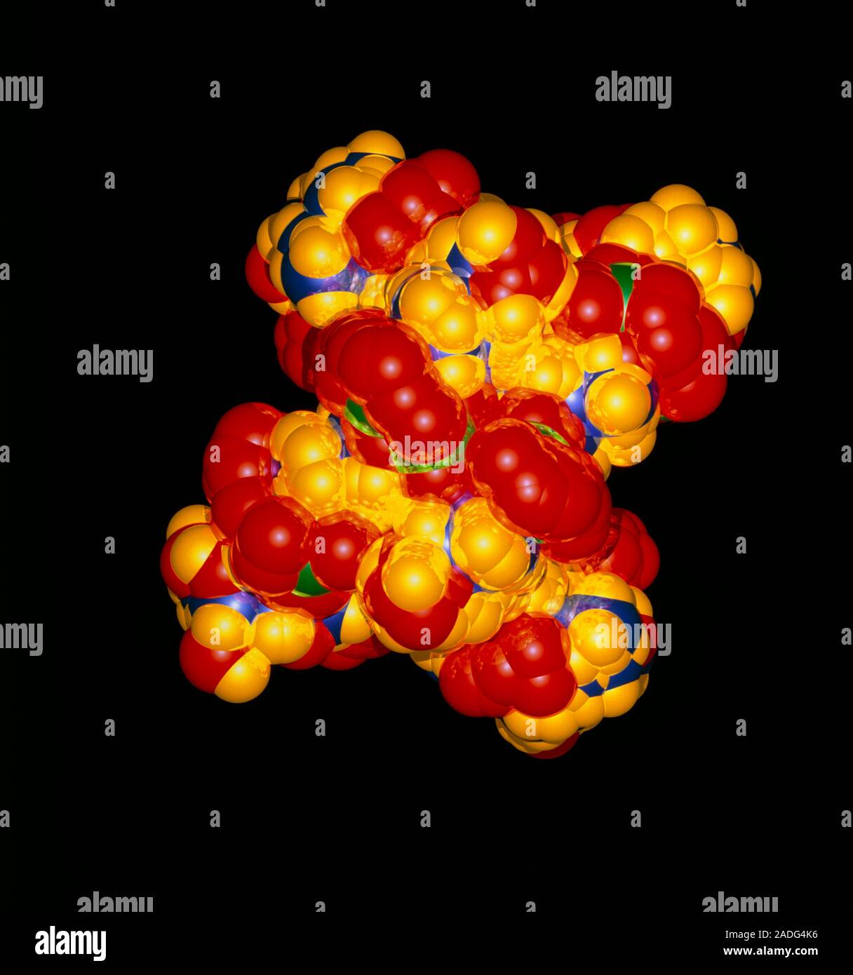 DNA molecules. Computer molecular graphic of a tetrameric structure ...
