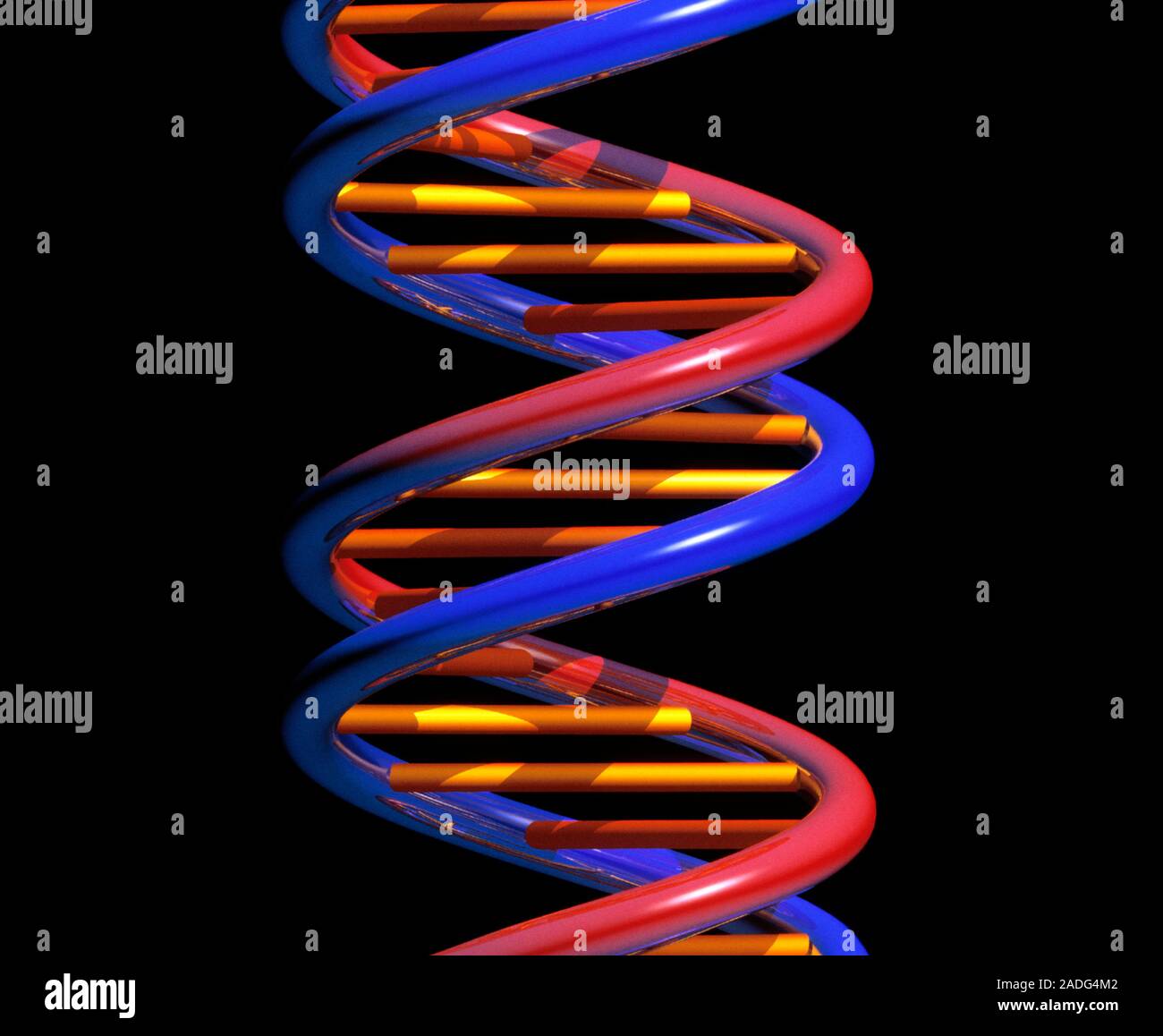 DNA molecule. Computer artwork of part of a strand of beta DNA ...