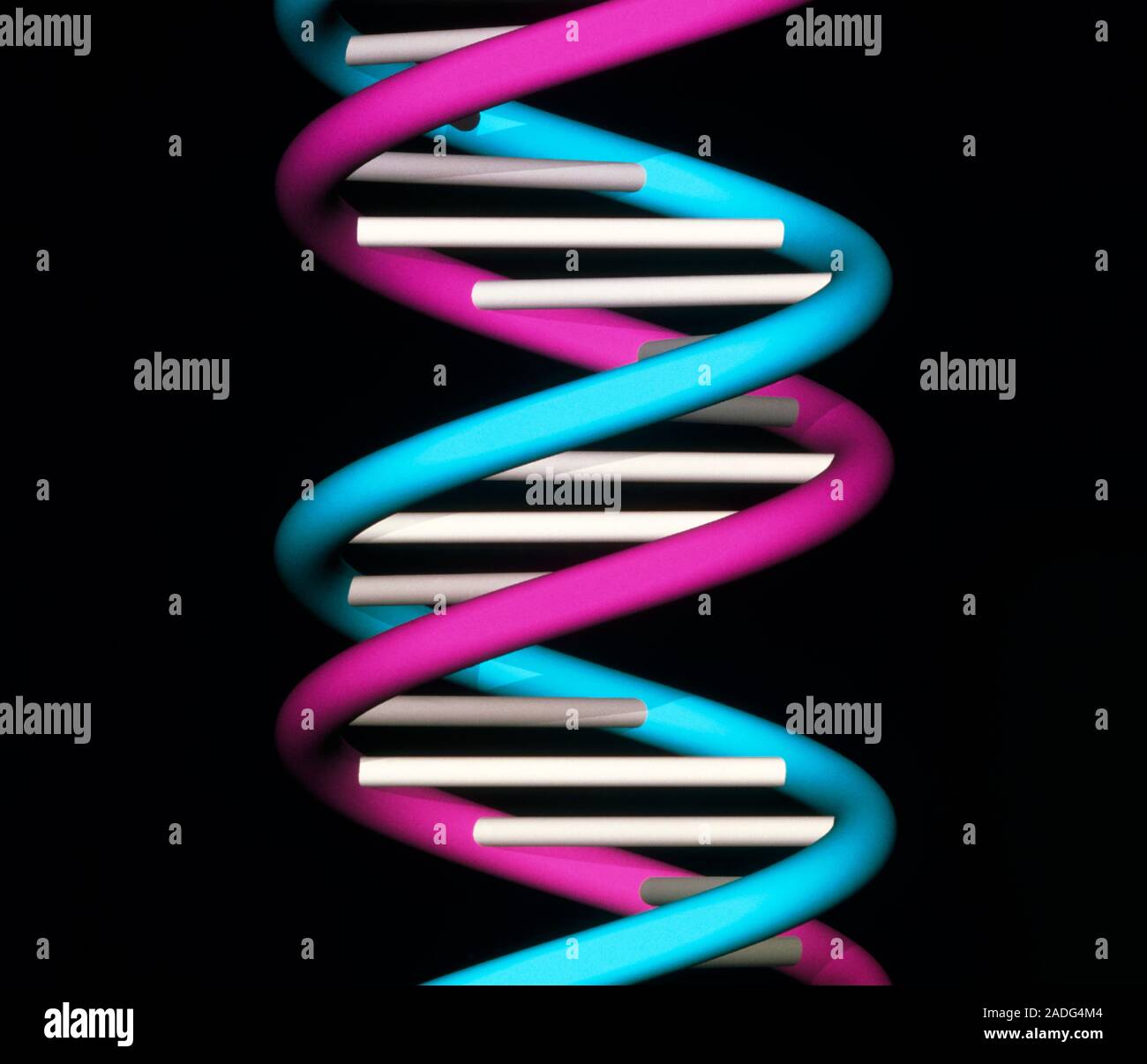 DNA molecule. Computer artwork of part of a strand of beta DNA ...