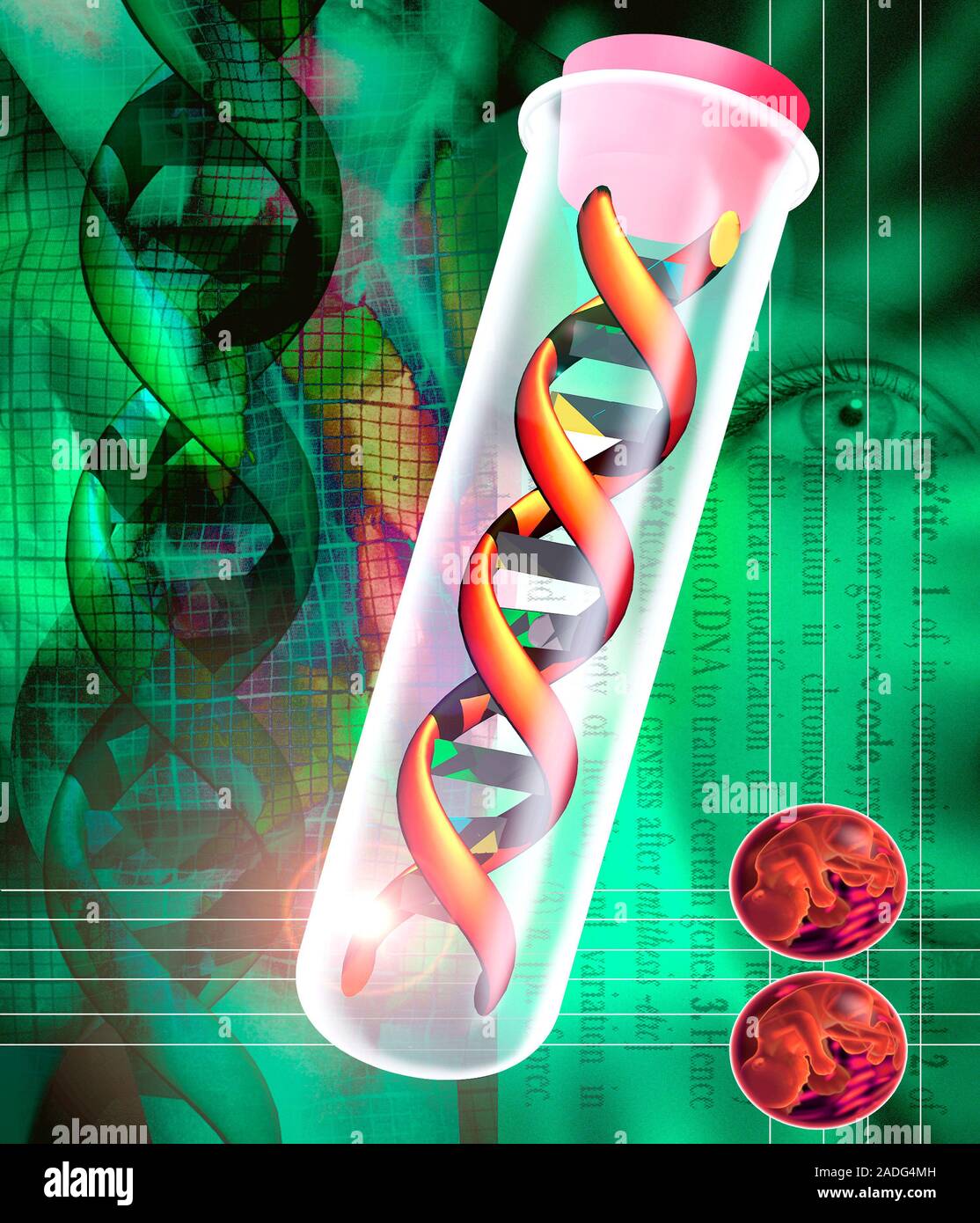 DNA sample. Computer artwork of a sample of DNA (deoxyribonucleic acid ...