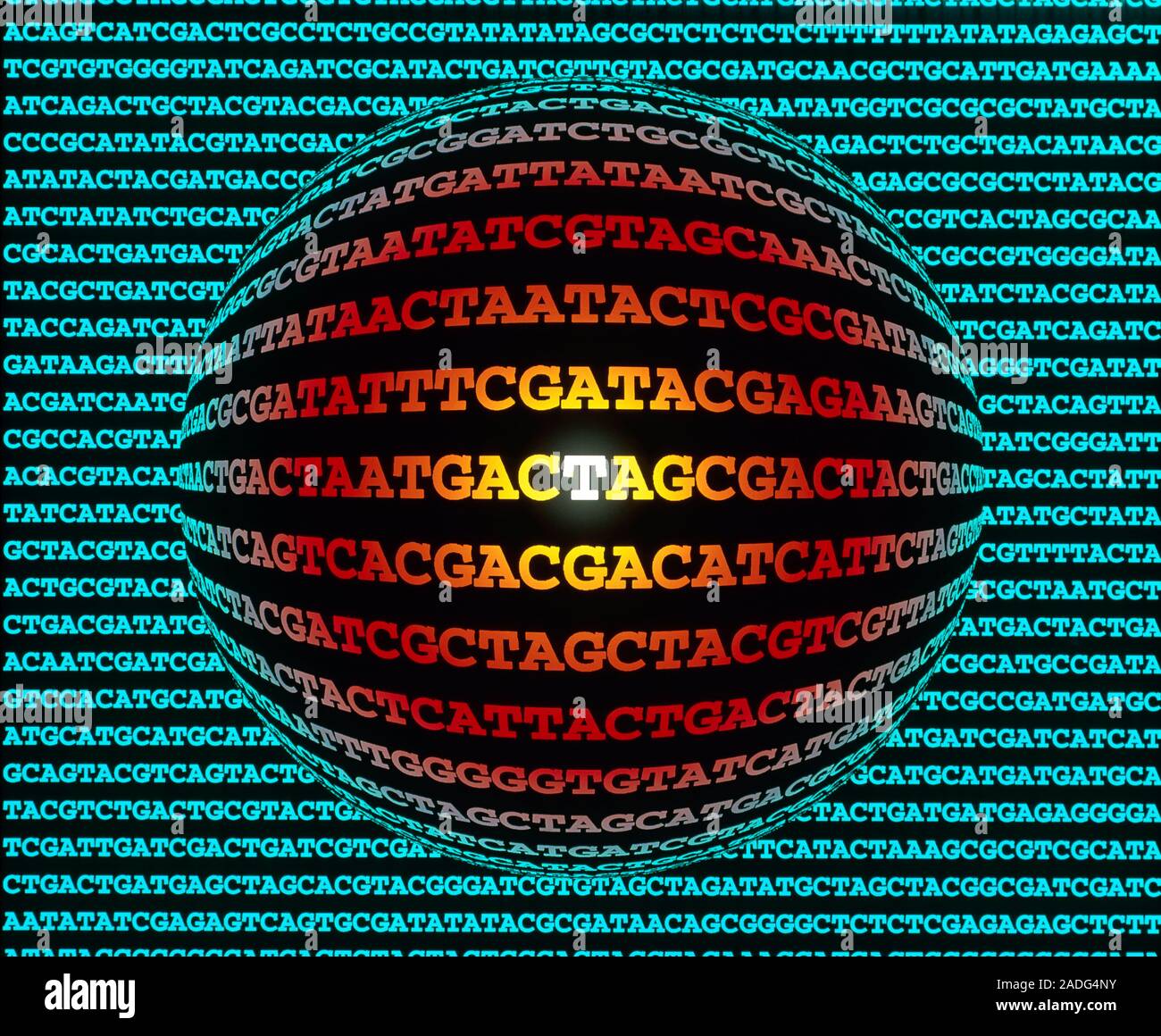 DNA sequence. Artwork showing a long sequence of four nucleotide bases ...