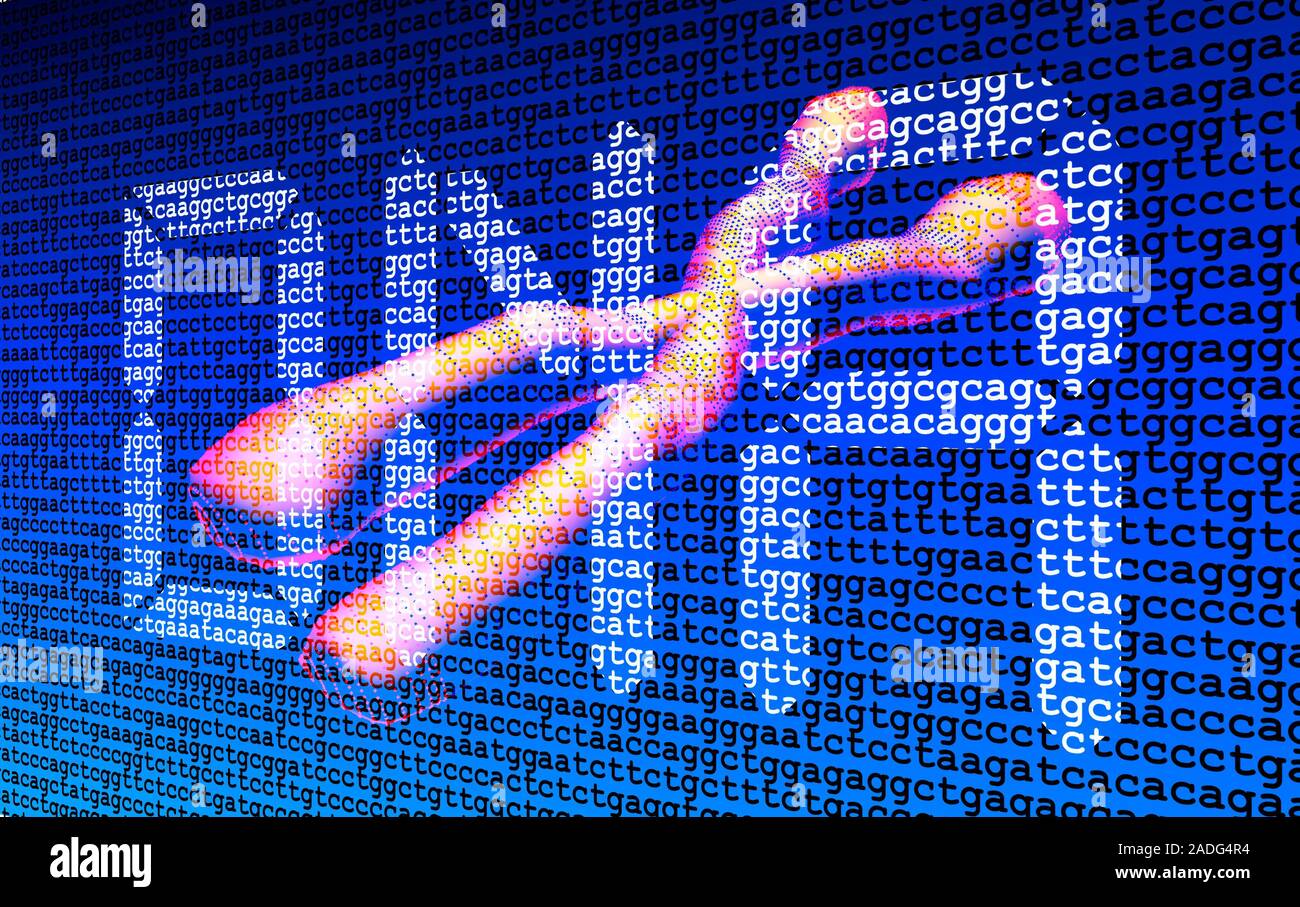 DNA lettering and a chromosome. Artwork showing the word DNA" in ...