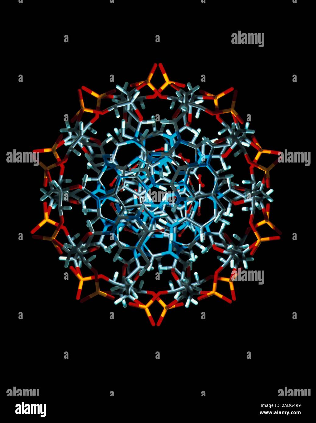 DNA molecule. Computer artwork of part of the molecule of DNA ...