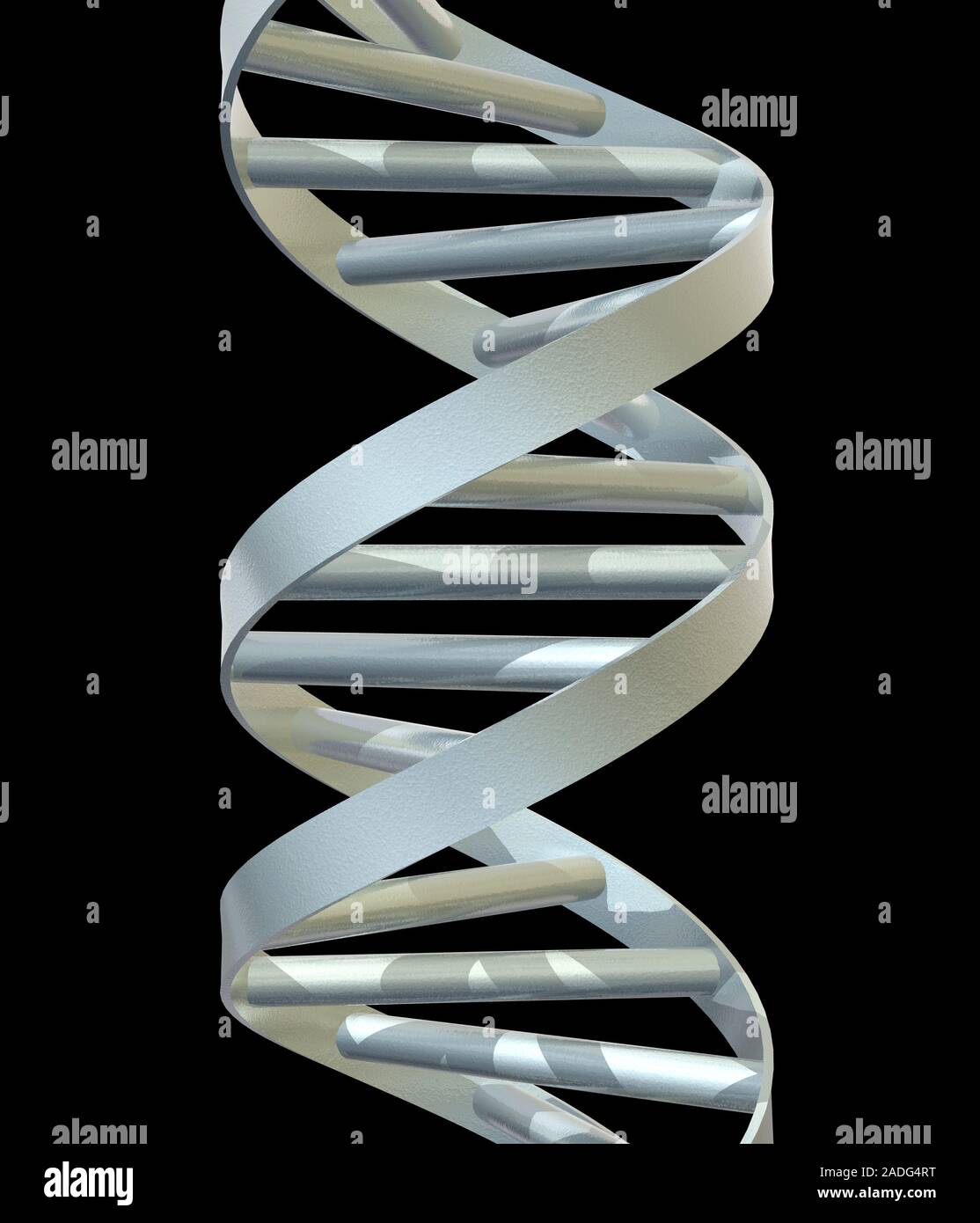 DNA molecule. Computer artwork of part of a strand of DNA ...