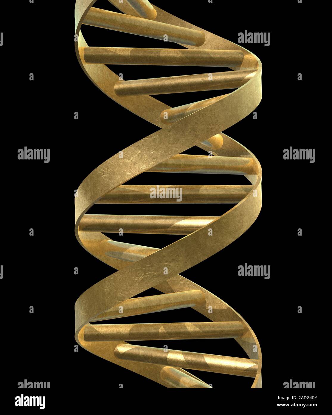 DNA molecule. Computer artwork of part of a strand of DNA ...