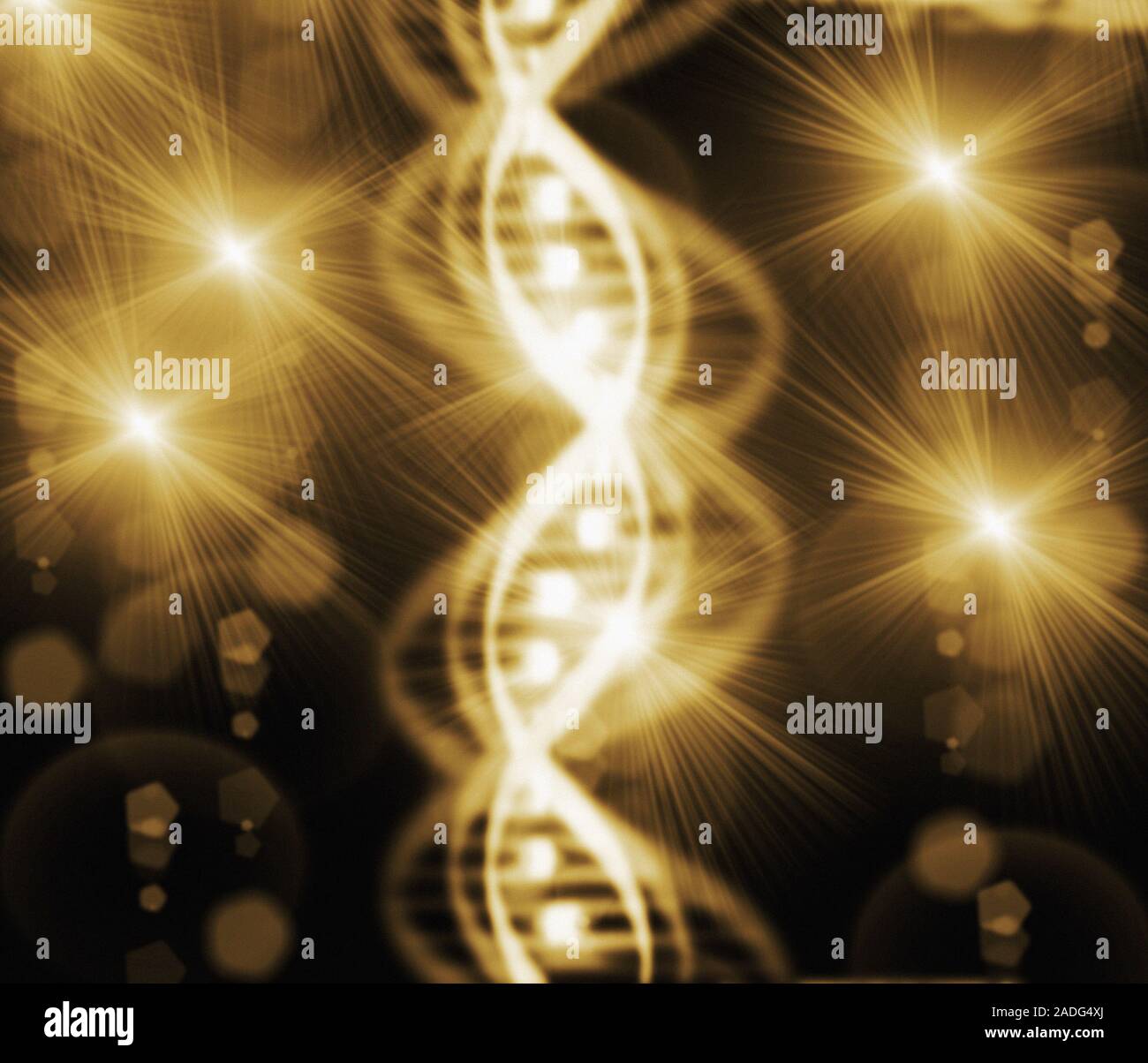 DNA. Conceptual computer artwork of lights around the twisting strands ...