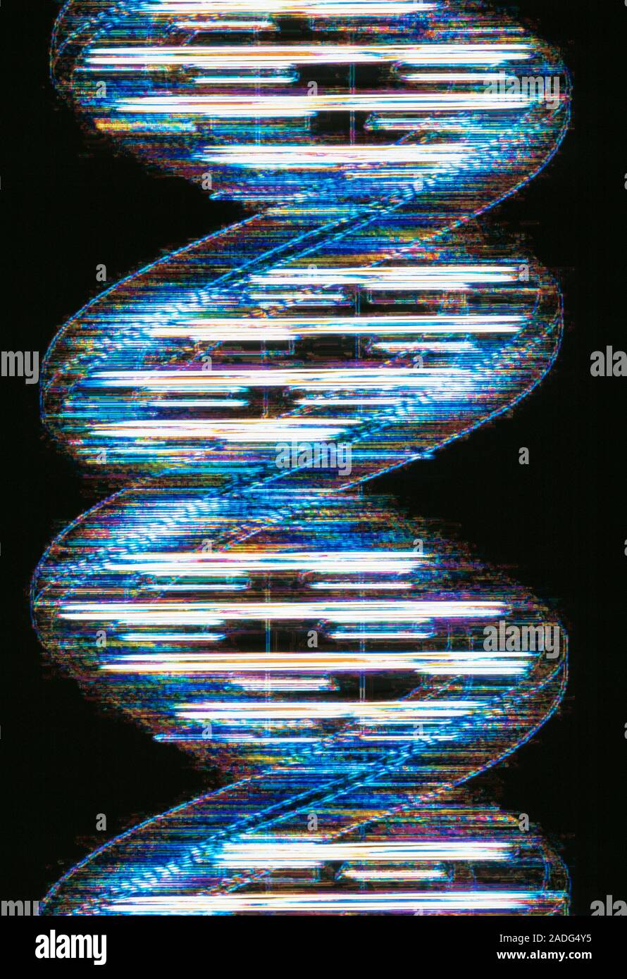 DNA molecule. Computer artwork of the molecular structure of a DNA ...