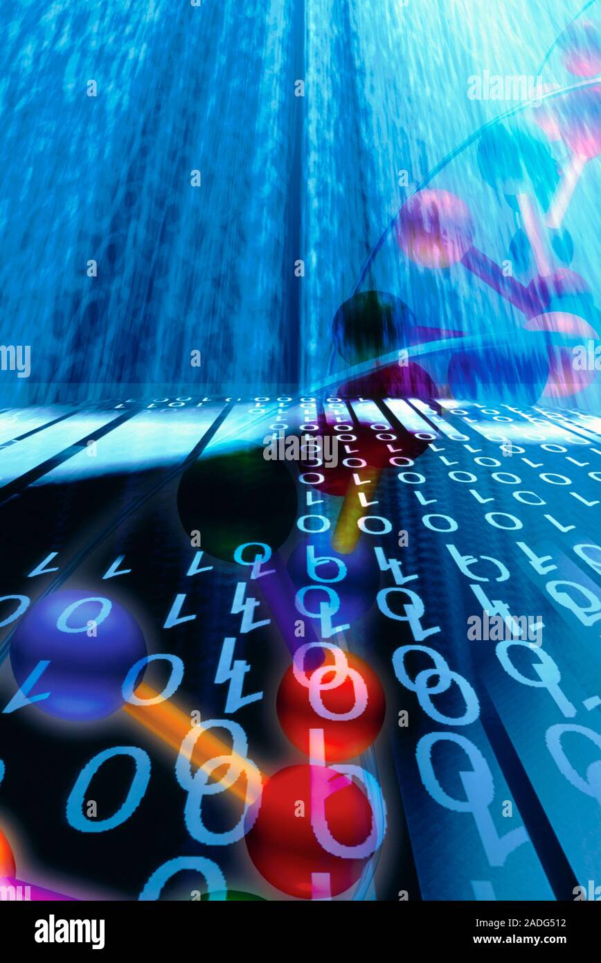 DNA molecule and binary code. Computer artwork of the base pair ...