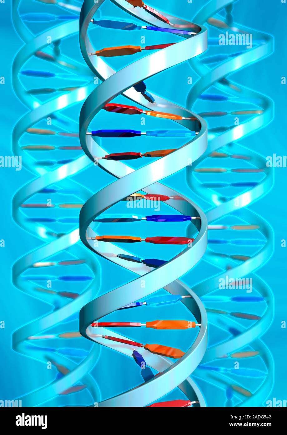 Dna Helices Computer Artwork Of Three Strands Of Dna Deoxyribonucleic Acid Each Dna Molecule