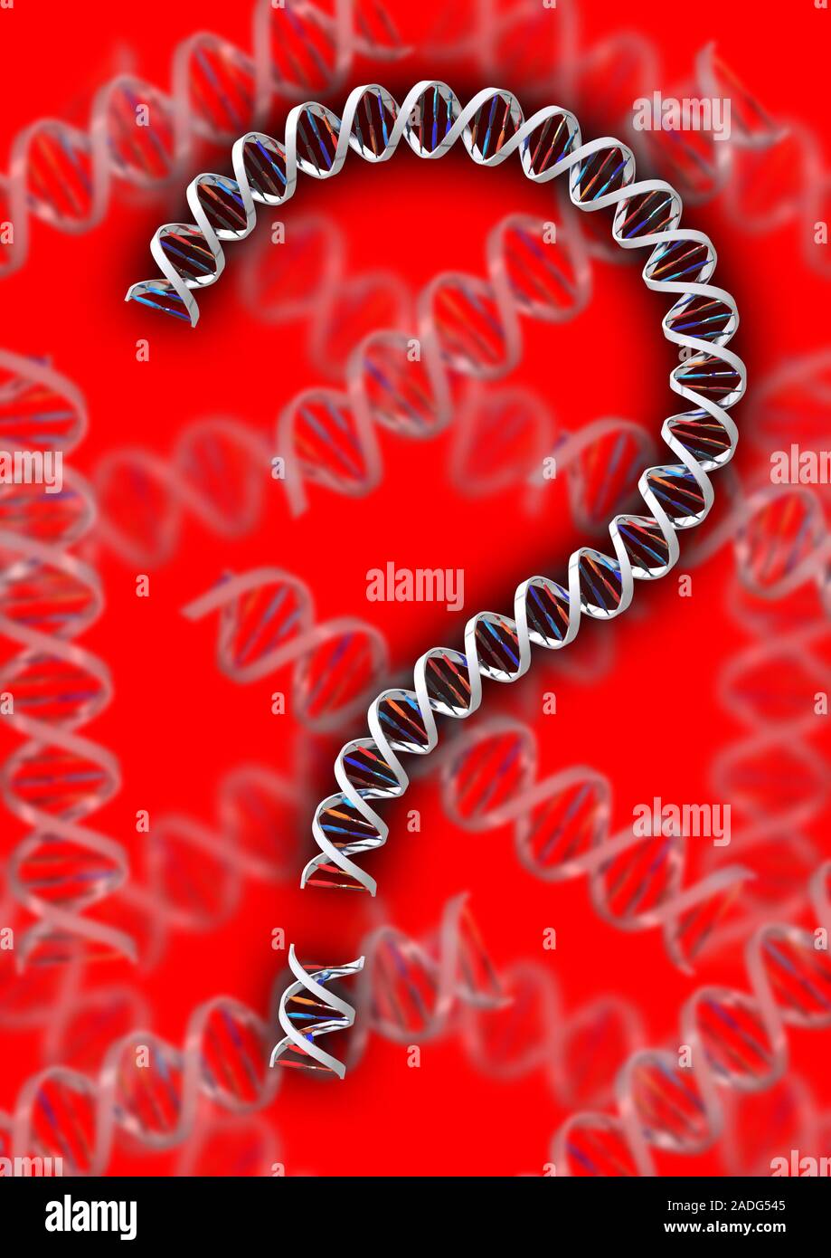 DNA. Computer artwork of parts of a DNA (deoxyribonucleic acid ...