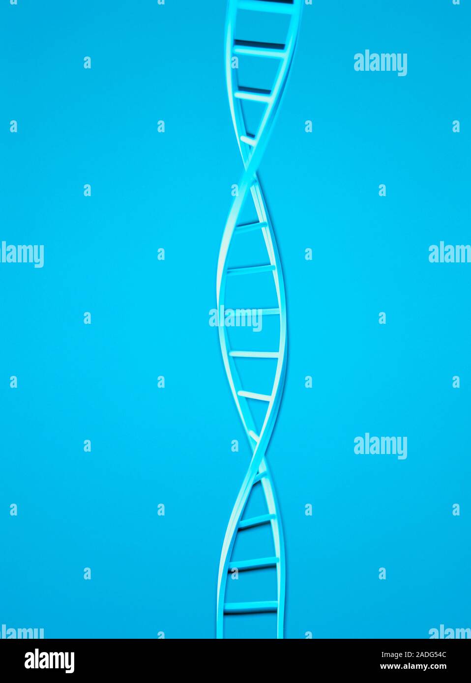 DNA helix. Model of part of the double helix of DNA (deoxyribonucleic ...