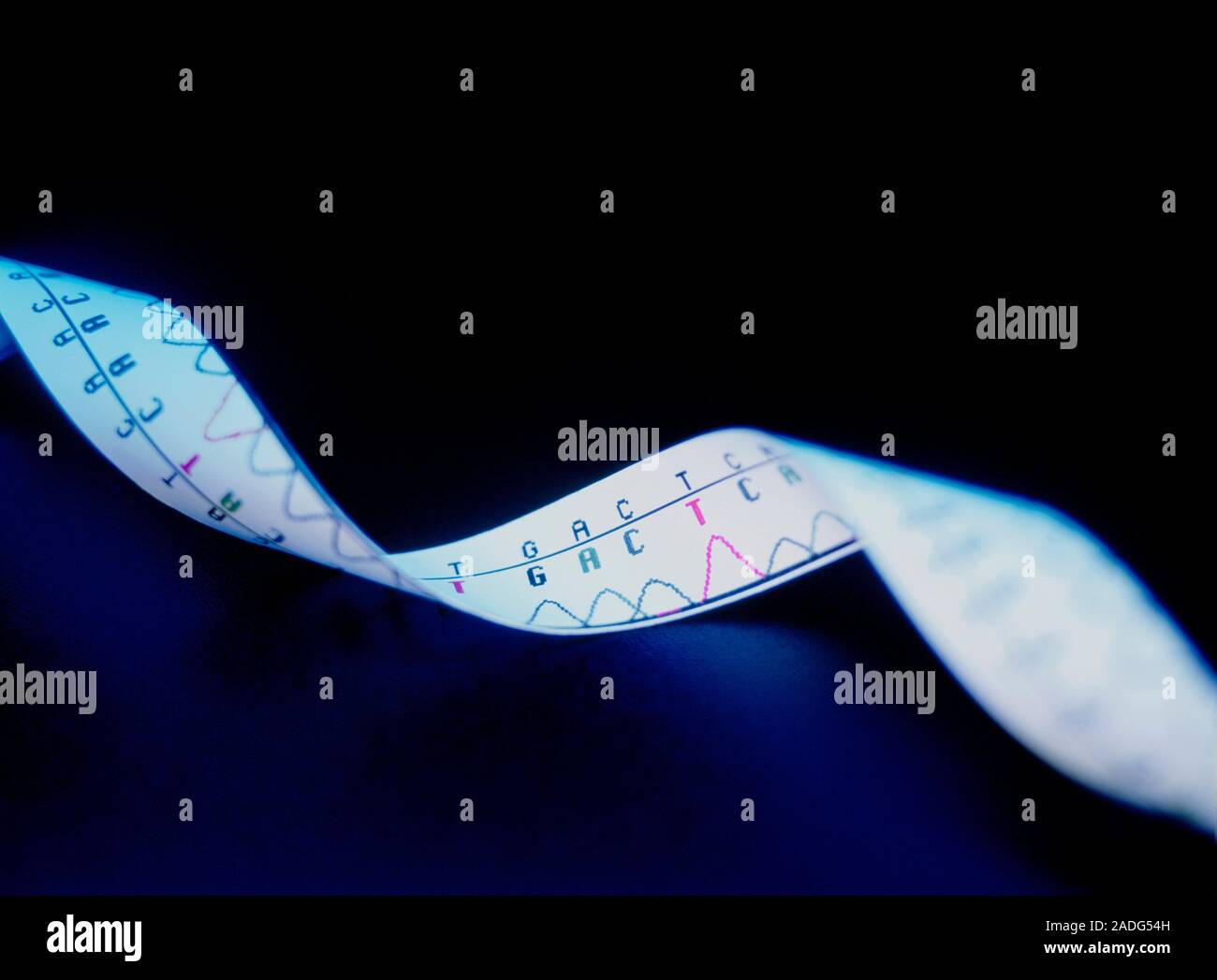 Genetic sequence. Printout of the genetic code of a single strand of ...