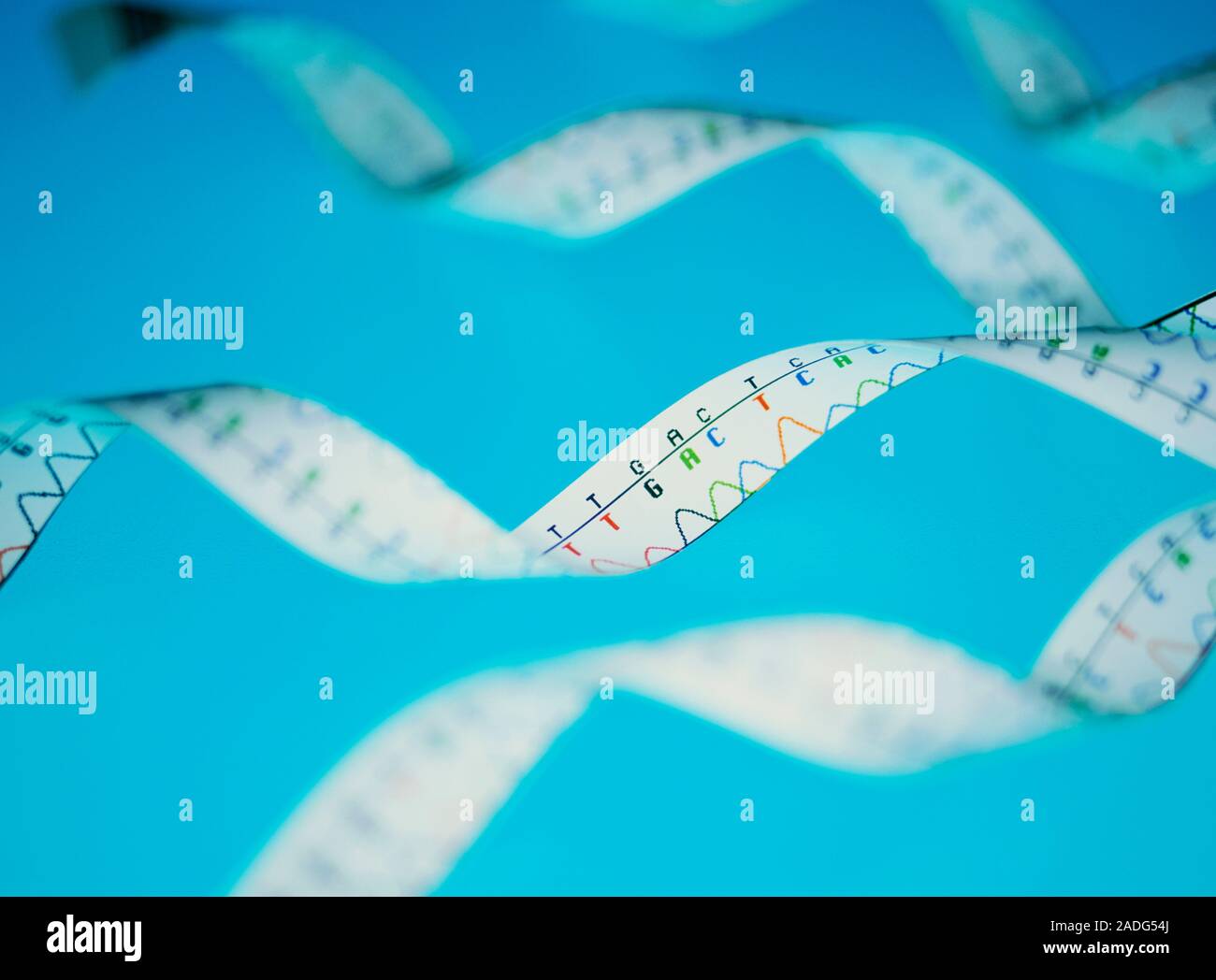 Genetic sequence. Printouts of the genetic code of a single strand of ...