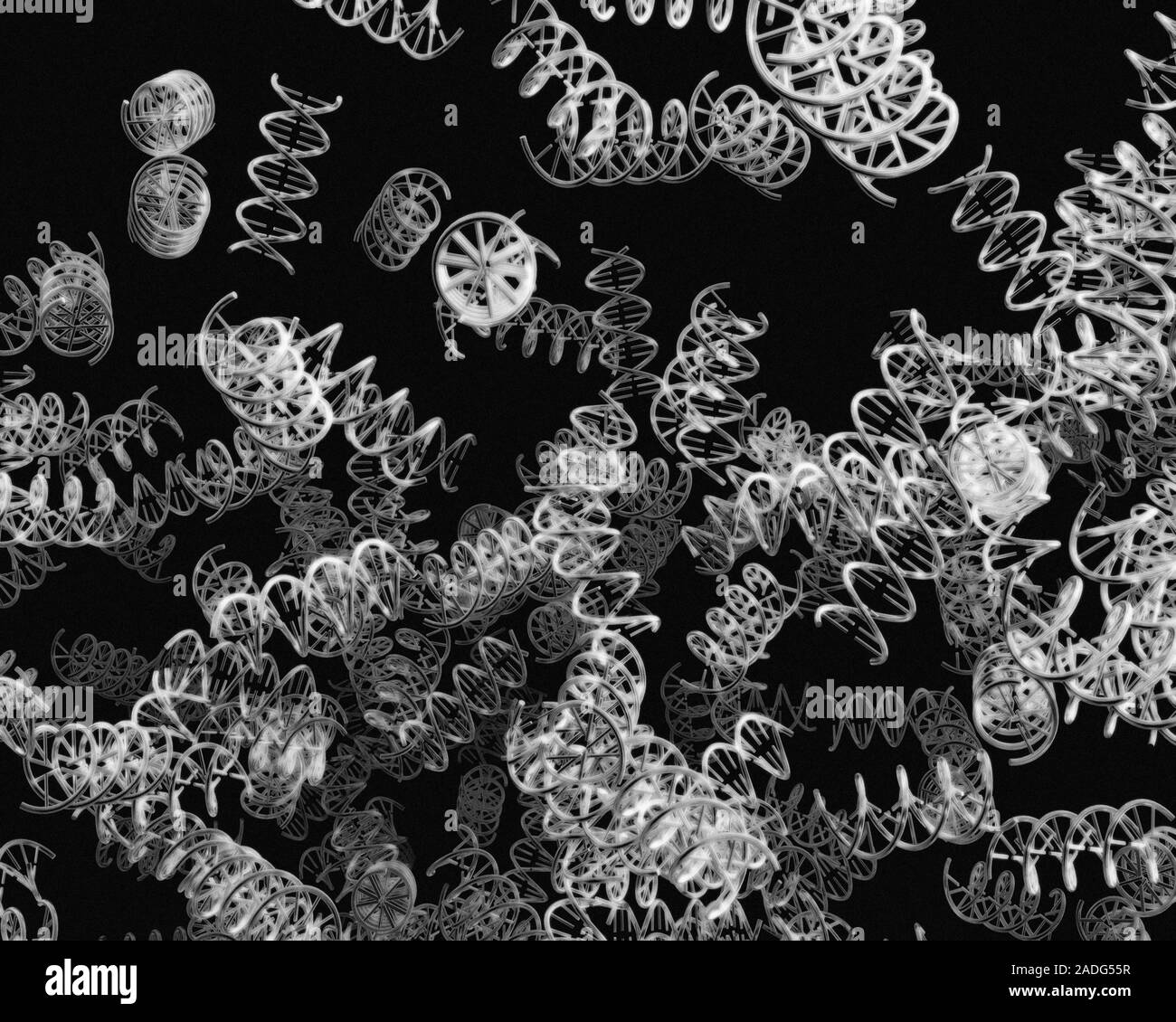 DNA helices. Computer artwork of many DNA double helices. A molecule of ...