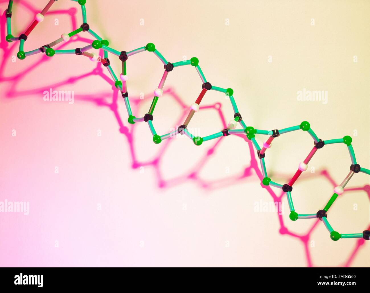 DNA. Conceptual model of deoxyribonucleic acid (DNA), the molecule that ...