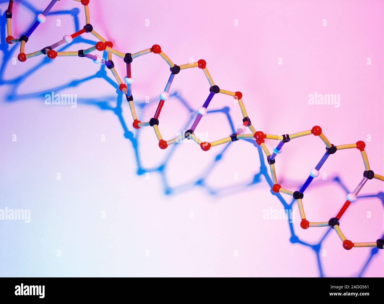 DNA. Conceptual model of deoxyribonucleic acid (DNA), the molecule that ...